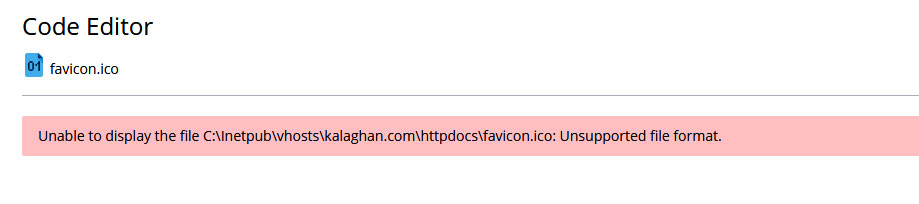 Unsupported file format (favicon.ico) - nopCommerce